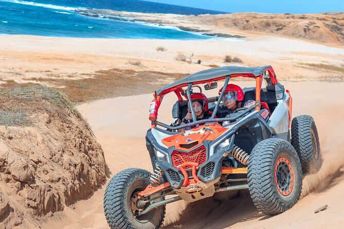 Beach UTV & Camel Ride COMBO in Cabo by Cactus Tours Park - The Sum Up