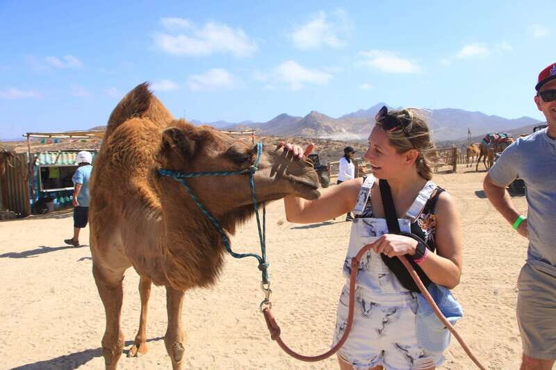 Beach UTV & Camel Ride COMBO in Cabo by Cactus Tours Park - Who Should Consider This Tour?