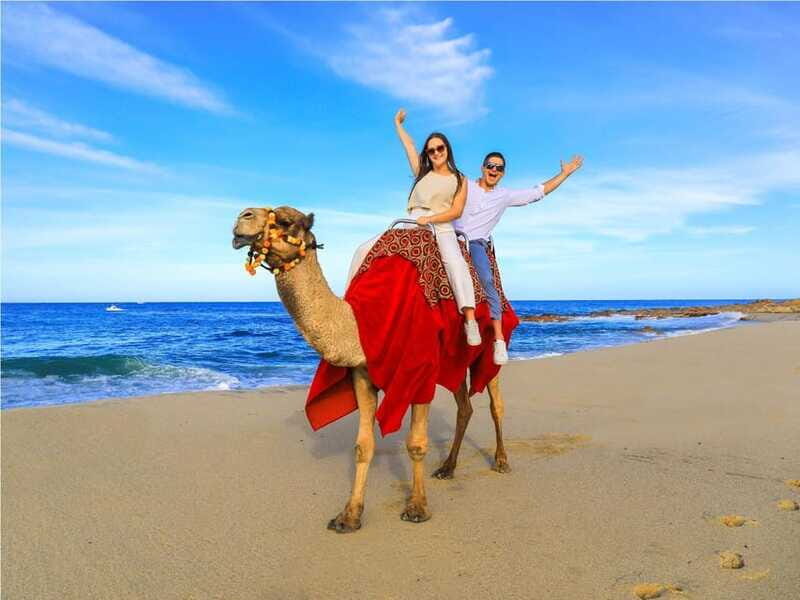 Beach UTV & Camel Ride COMBO in Cabo by Cactus Tours Park - The Sum Up