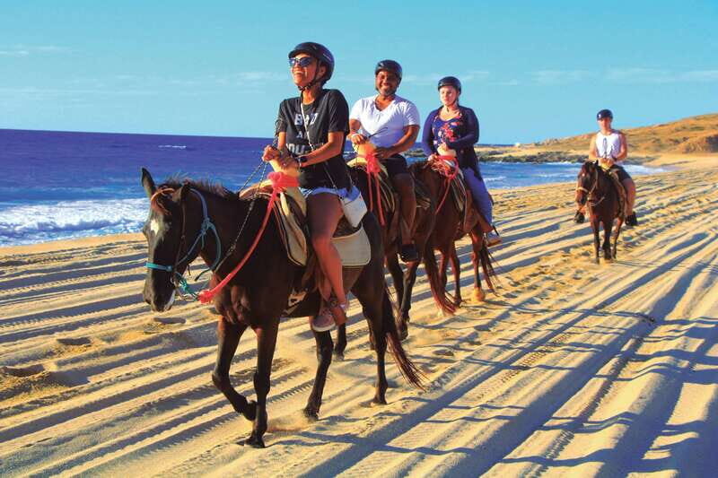 Beach UTV & Horseback Riding COMBO in Cabo by Cactus Tours - Key Points