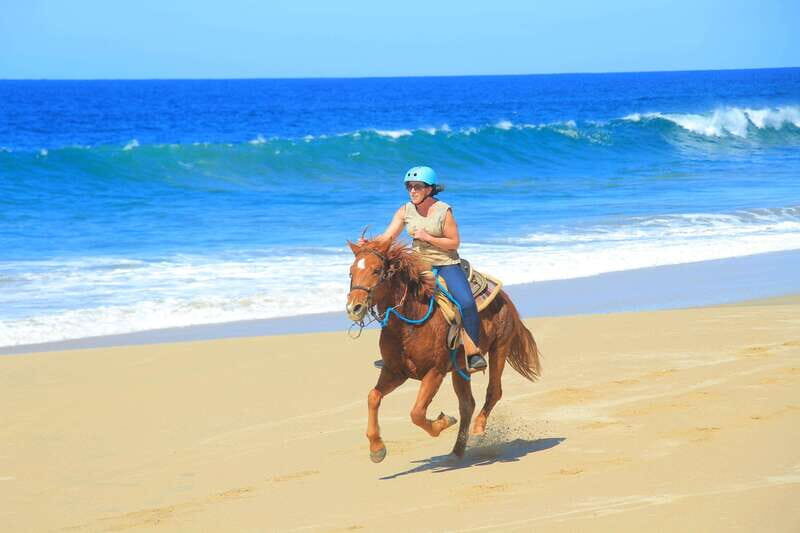 Beach UTV & Horseback Riding COMBO in Cabo by Cactus Tours - An Overview of the Experience