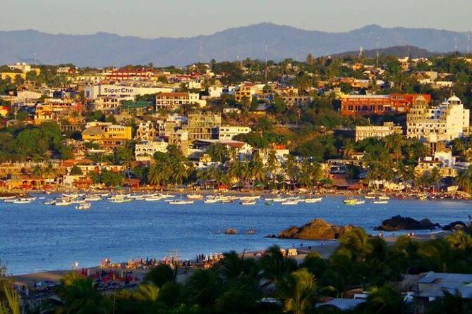 Beaches Dolphins And Viewpoints Discovering The Hidden Port By Sea And Land - Authentic Experiences and Insights