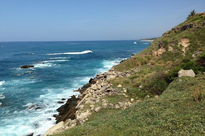 Beaches Dolphins And Viewpoints Discovering The Hidden Port By Sea And Land - What the Reviews Say