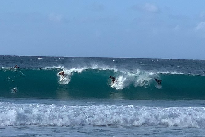 Beaches, Food & Aloha: Private Oahu Tour for up to 14 People - Key Points