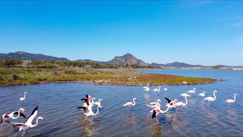 Beachtour Marina Rei & Sant'Elmo from Cagliari - Authentic Experiences and Real Traveler Feedback