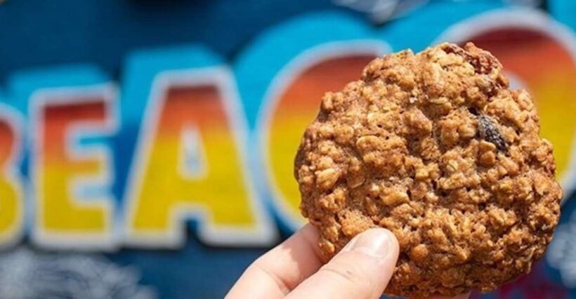 Beacon: Gourmet Beacon Food Tour - Final Thoughts