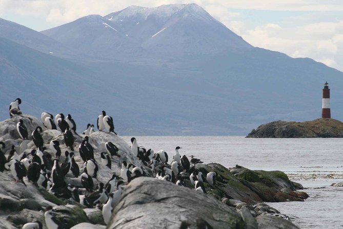 Beagle Channel Sailing Tour: Birds, Seals & Penguins Islands - Inclusions and Meeting Details