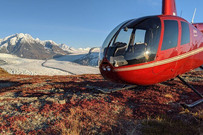 Bear Glacier Helicopter Tour with Landing - Introduction