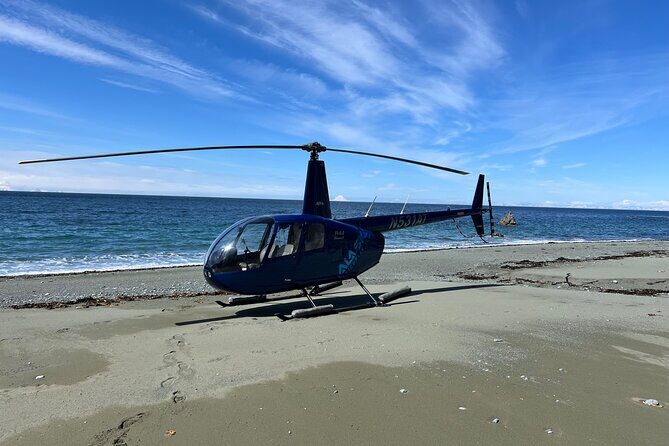 Bear Glacier Helicopter Tour with Landing - Who Is This Tour Best For?