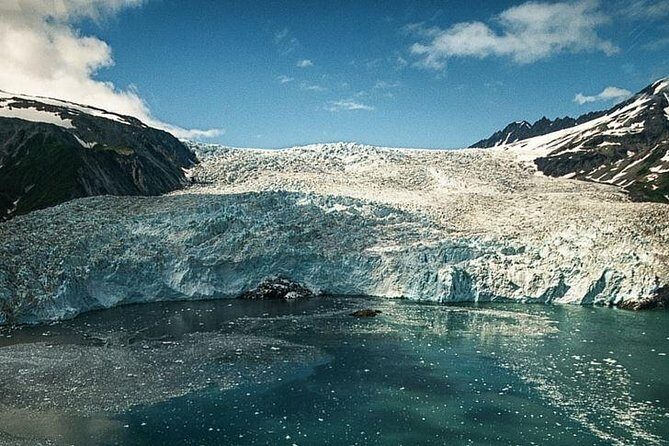 Bear Glacier Scenic Signature Flight - Who Will Love This Tour?