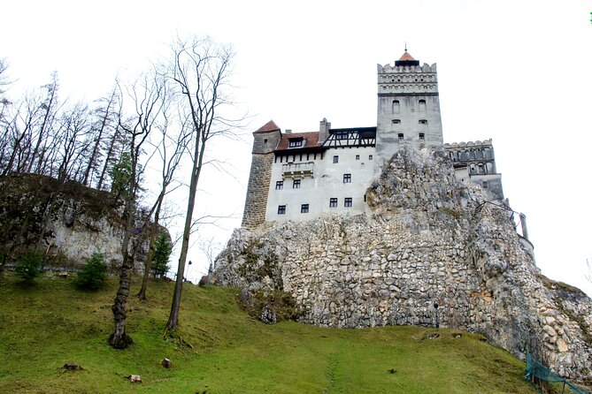 Bear Sanctuary and Bran Castle From Brasov - Pickup and Meeting Information