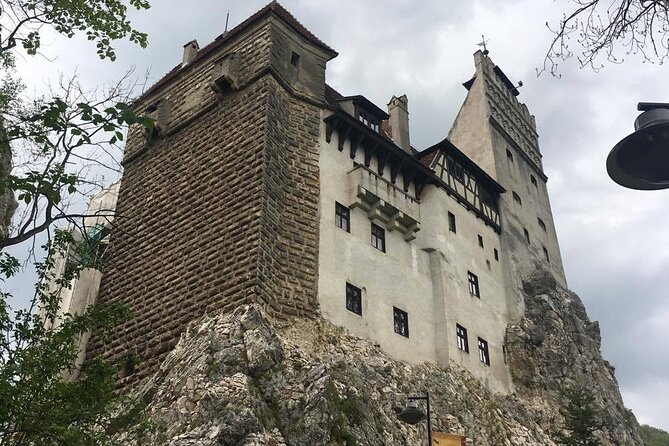 Bear Sanctuary and Bran Castle From Brasov - Accessibility and Participation