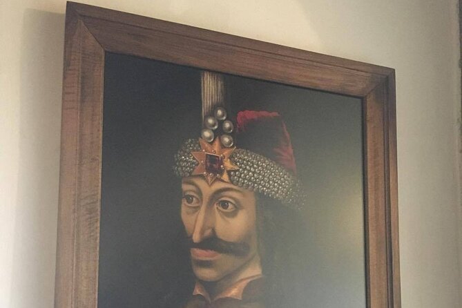 Bear Sanctuary and Bran Castle From Brasov - Highlights of the Bear Sanctuary