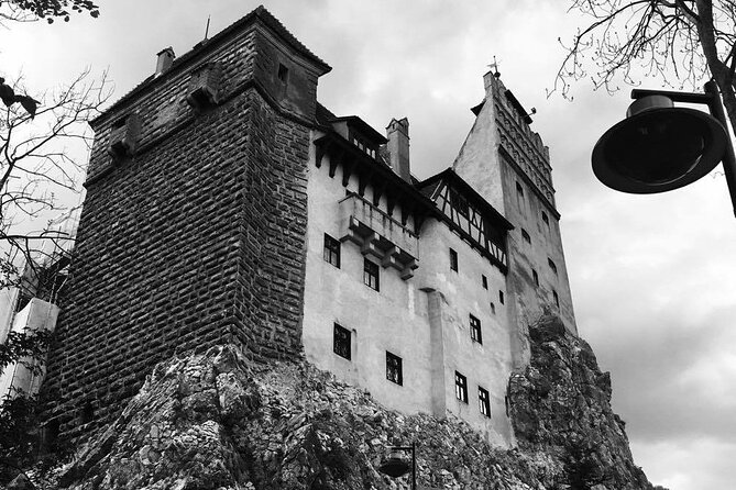 Bear Sanctuary and Bran Castle From Brasov - Exploring Bran Castle