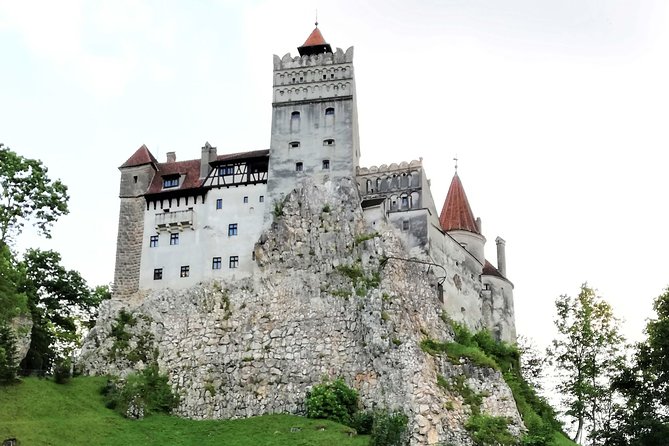 Bear Sanctuary and Draculas Castle, 1-day Private Tour - Physical Requirements and Accessibility