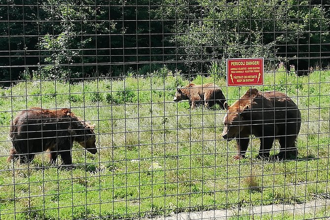 Bear Sanctuary and Draculas Castle, 1-day Private Tour - Booking and Pricing Information