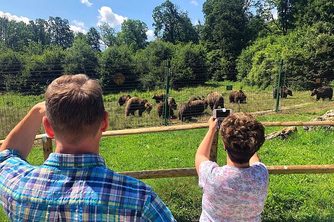 Bear Sanctuary, Bran (Dracula) Castle, Peles Castle From Brasov - The Brown Bear Sanctuary