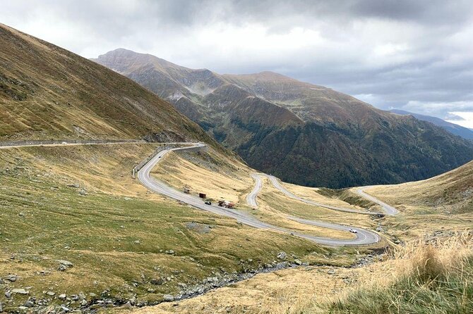 Bear Sanctuary & Rasnov Fortress - Private day tour from Bucharest - The Value and Overall Experience