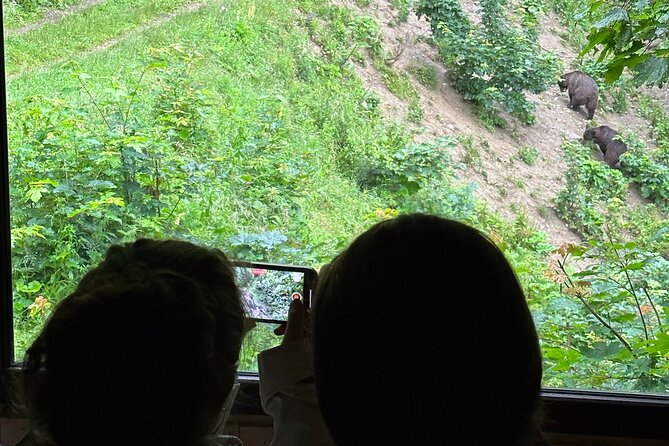 Bear Watching In Brasov: Observe Wild Bears From A Hideout - Reviews and Ratings