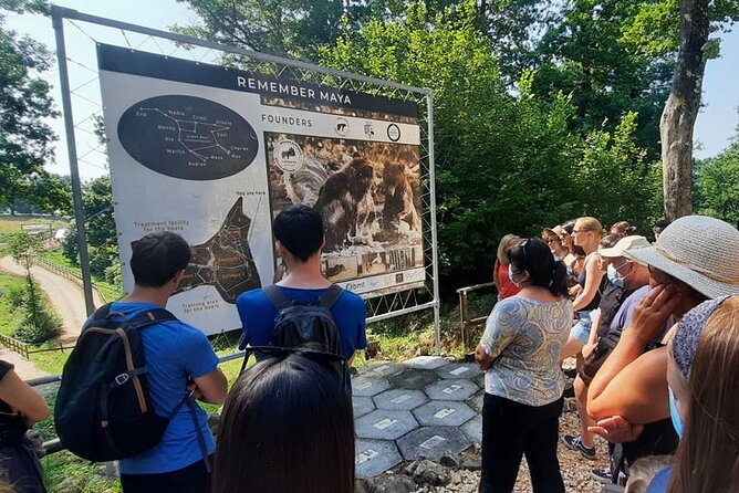 Bears Sanctuary, Dracula Castle and Poiana Brasov-Private Day Tour From Brasov - Poiana Brasov