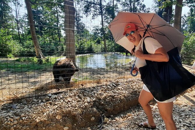 Bears Sanctuary, Dracula Castle and Poiana Brasov-Private Day Tour From Brasov - Inclusions