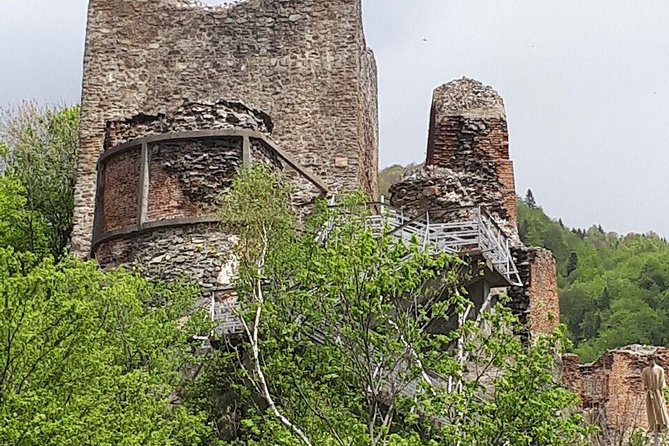 Bears Sanctuary, Draculas Castle, Brasov Day Trip Private Tour From Bucharest - Discovering Brasovs Medieval Charms