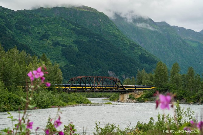 Bears, Trains & Icebergs Tour - Traveler Feedback and Recommendations