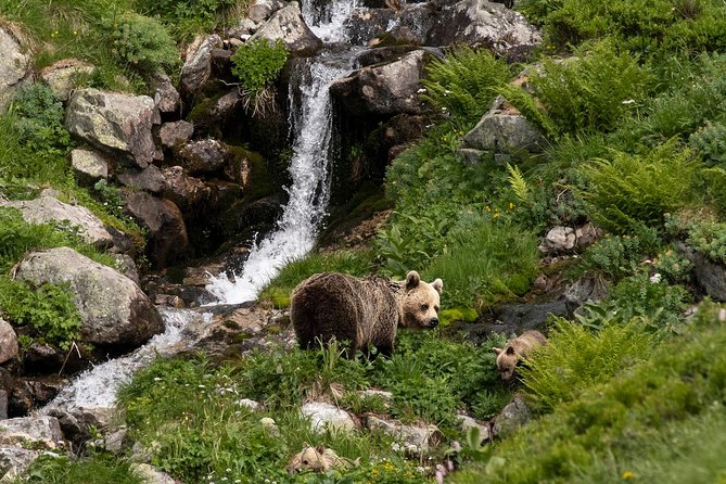 Bearwatching Hiking Day Tour in High Tatras From Poprad - Tour Itinerary
