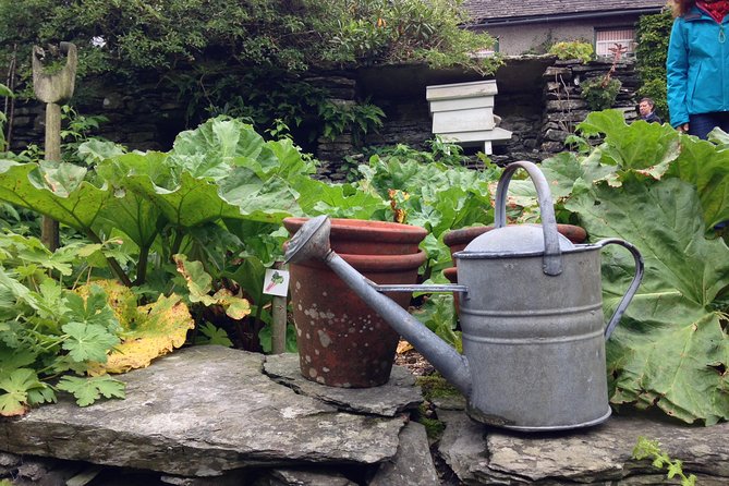Beatrix Potters Tour From Oxenholme Including Lake Cruise - Accessibility and Participation