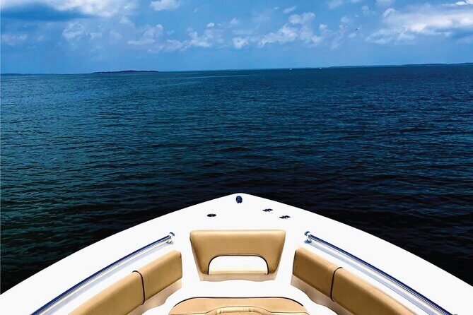 Beaufort Private Dolphin Excursions - The Value of a Private, Custom Experience