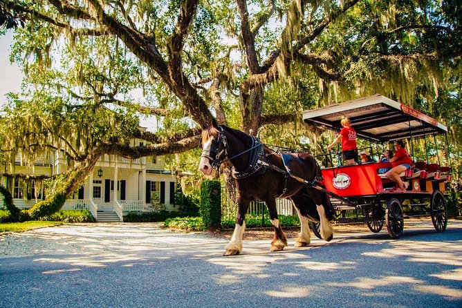 Beaufort’s #1 Horse & Carriage History Tour - An Authentic & Relaxing Way to Discover Beaufort