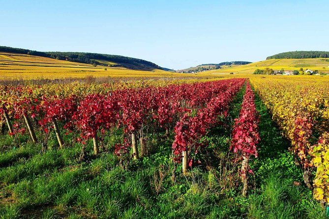 Beaujolais 100% Wine Tour Small-Group Tour With Tasting From Lyon - Itinerary Details