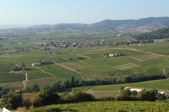 Beaujolais Crus Wines & Castles (2:00 Pm - 6:30 Pm) - Small Group Tour From Lyon - Comfort and Transportation Details