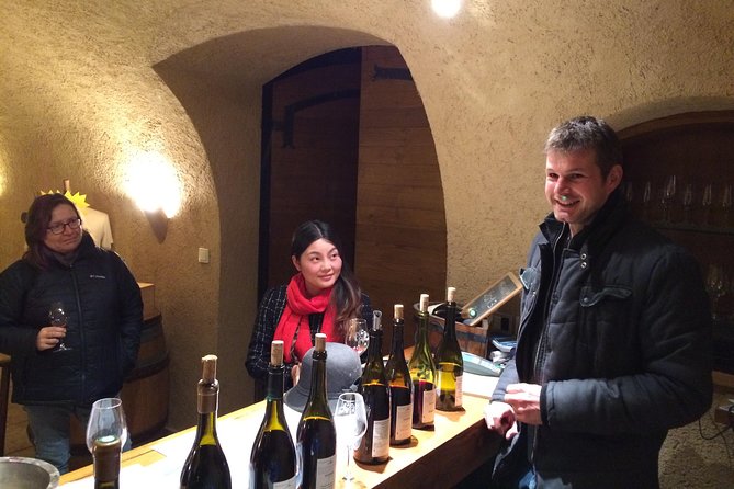Beaujolais Crus Wines & Castles (2:00 Pm - 6:30 Pm) - Small Group Tour From Lyon - Traveler Reviews and Recommendations