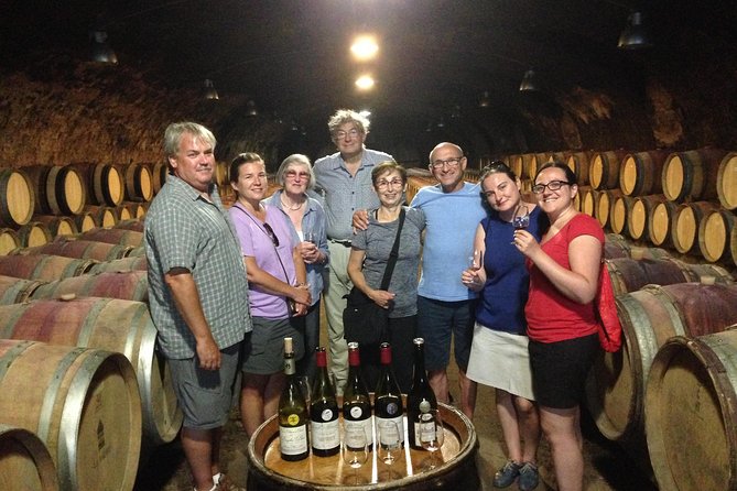 Beaujolais Crus Wines & Castles (9:00 am - 1:30 pm) - Small Group Tour from Lyon - Who Will Enjoy This Tour?