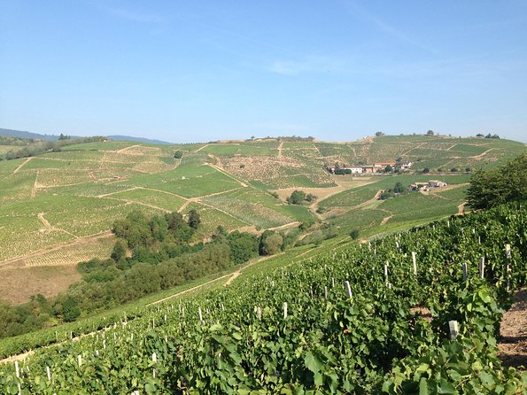 Beaujolais Crus Wines & Castles (9:00 am - 1:30 pm) - Small Group Tour from Lyon - Final Thoughts