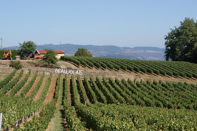 Beaujolais & Perouges Medieval Town (9:00 Am to 5:15 Pm - Small Group Tour Lyon - Winery Visit