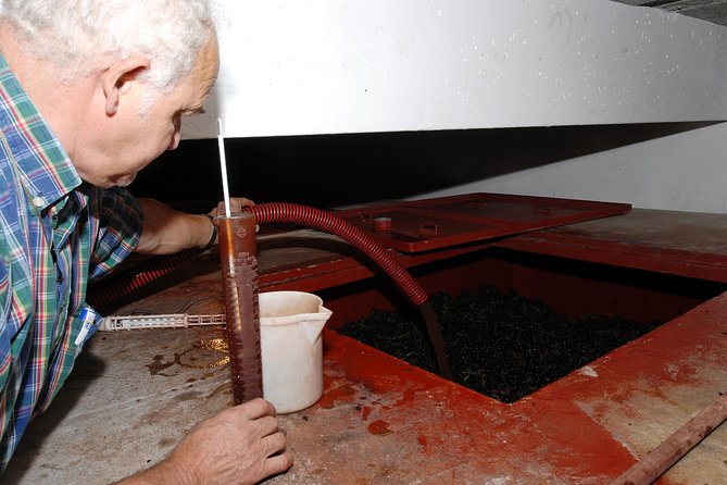 Beaujolais & Perouges Medieval Town (9:00 Am to 5:15 Pm - Small Group Tour Lyon - Guided Tour of Pérouges