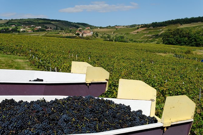 Beaujolais & Perouges Medieval Town (9:00 Am to 5:15 Pm - Small Group Tour Lyon - Meeting and Pickup Information