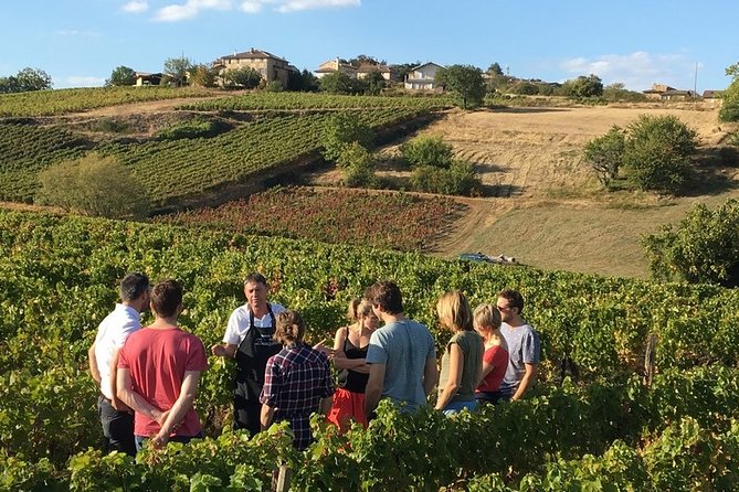 Beaujolais & Perouges Medieval Town - Private Tour - Full Day from Lyon - Introduction