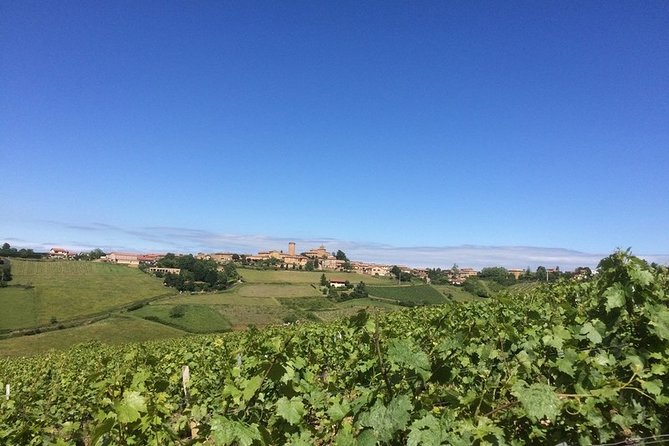 Beaujolais & Perouges Medieval Town - Private Tour - Full Day from Lyon - Transport and Logistics