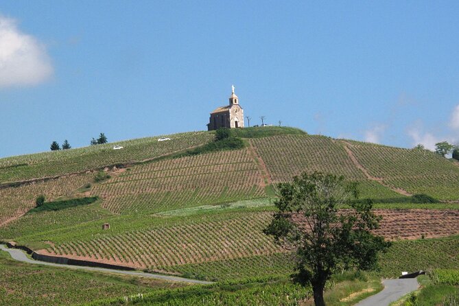 Beaujolais Region Wine Tasting Private Day Tour from Lyon - Practical Considerations