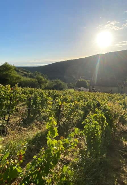 Beaujolais: Tours, wine tastings, and bistronomic restaurant - Introduction