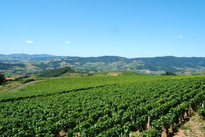 Beaujolais Wine Discovery - Half Day - Small Group Tour From Lyon - Inclusions and Logistics