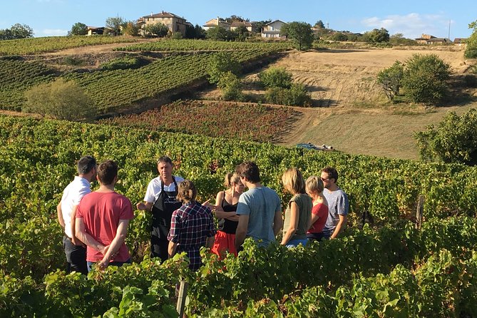 Beaujolais Wine Discovery - Half Day - Small Group Tour From Lyon - Feedback Summary