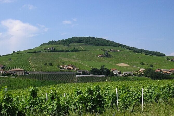 Beaujolais wine route, private tour from Lyon - What You Get for Your Money