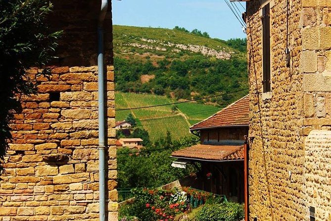 Beaujolais Wine Tour From Lyon Half Day - Pricing and Booking