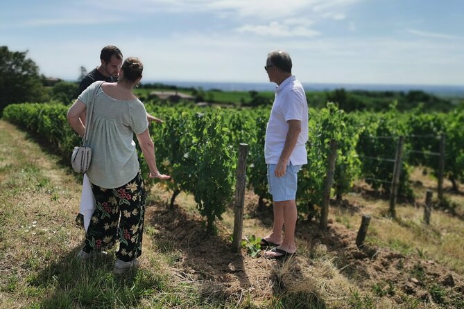 Beaujolais Wine Tour From Lyon Half Day - Highlights of the Tour