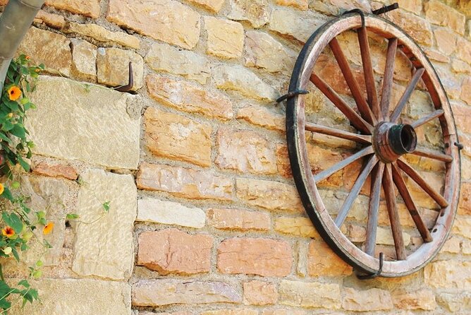 Beaujolais Wine Tour From Lyon Half Day - What to Expect on the Beaujolais Wine Tour