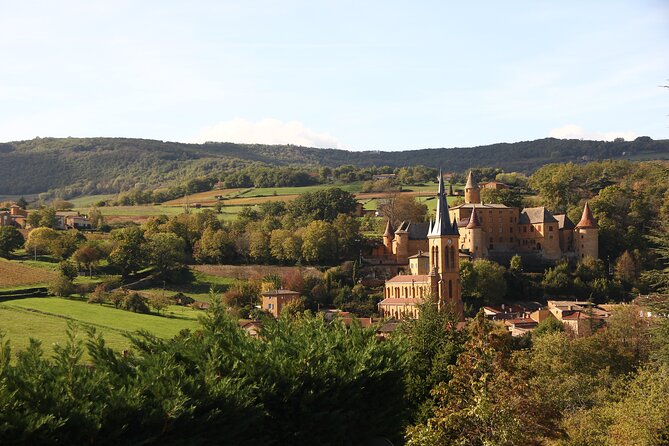 Beaujolais Wine Tour - Tastings & Gourmet Picnic Lunch - Who Should Consider This Tour?